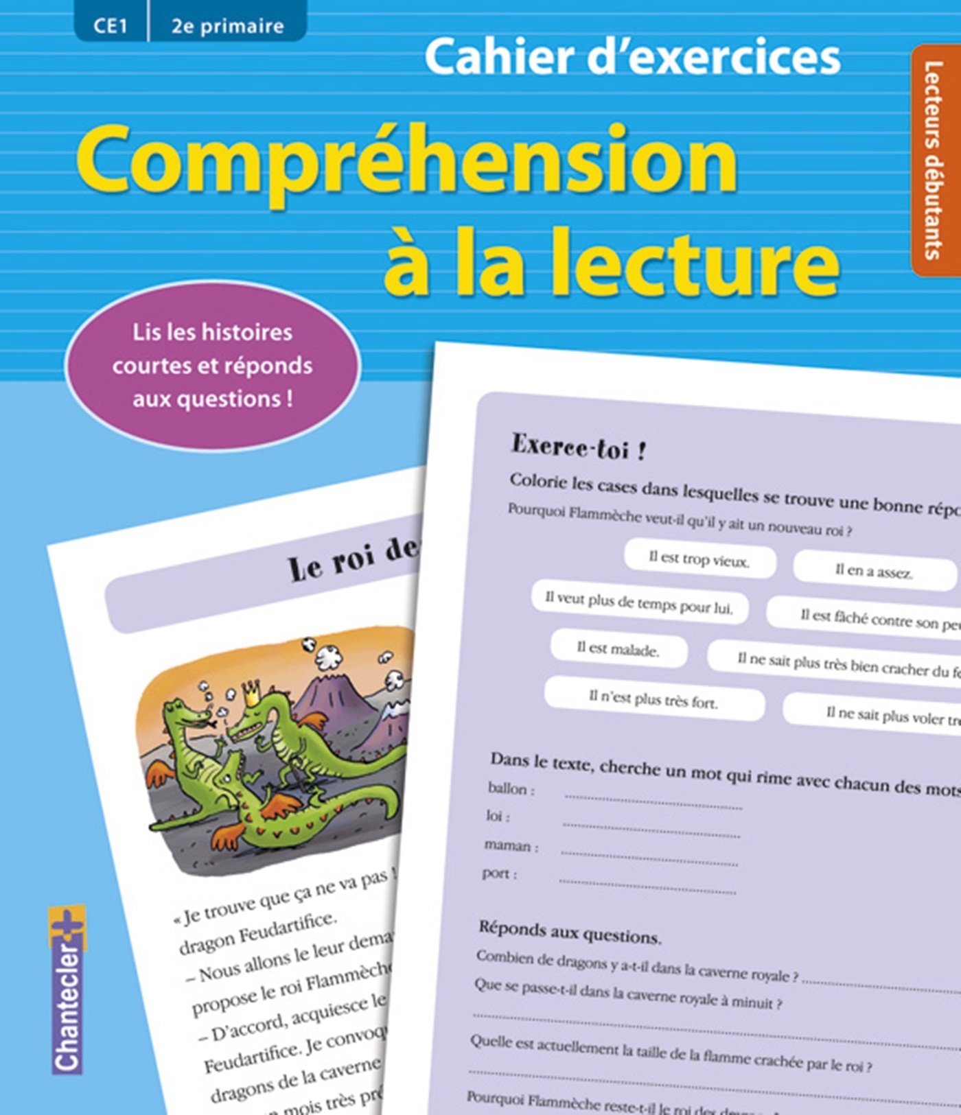 COMPREHENSION A LA LECTURE CE1 - CAHIER D'EXERCICE | Pichon