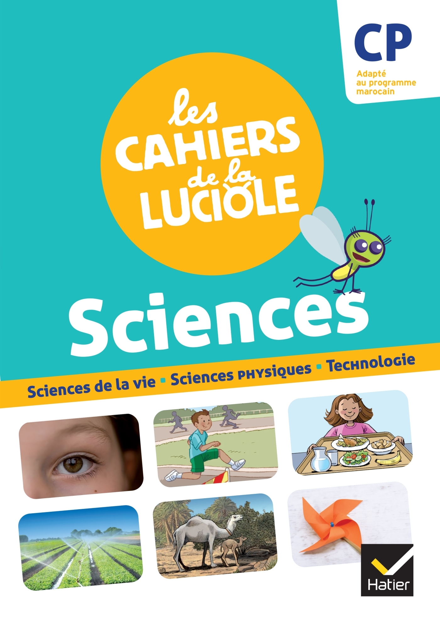 LES CAHIERS DE LA LUCIOLE CP - ED. 2021 - DECOUVE | Pichon